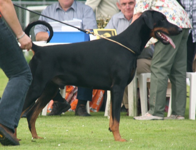 Van de Donauhoeve Pictures